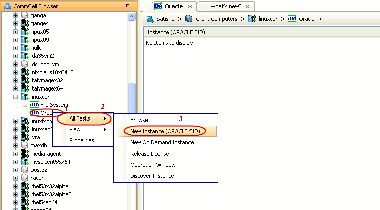 oracle — Bull On-line Support Portal