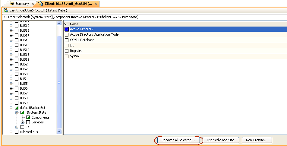 Offline Database Restore