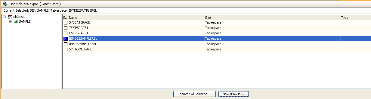 SnapProtect Getting Started - DB2 Restore
